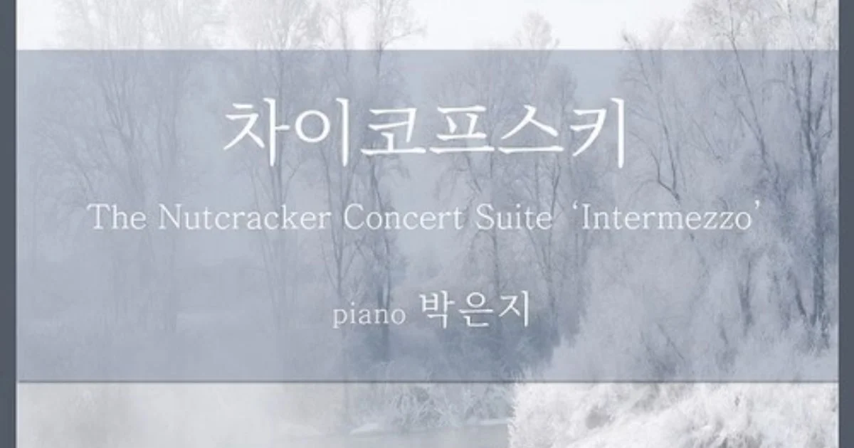 앨범 피아노스튜디오바흐 숨고 숨은고수