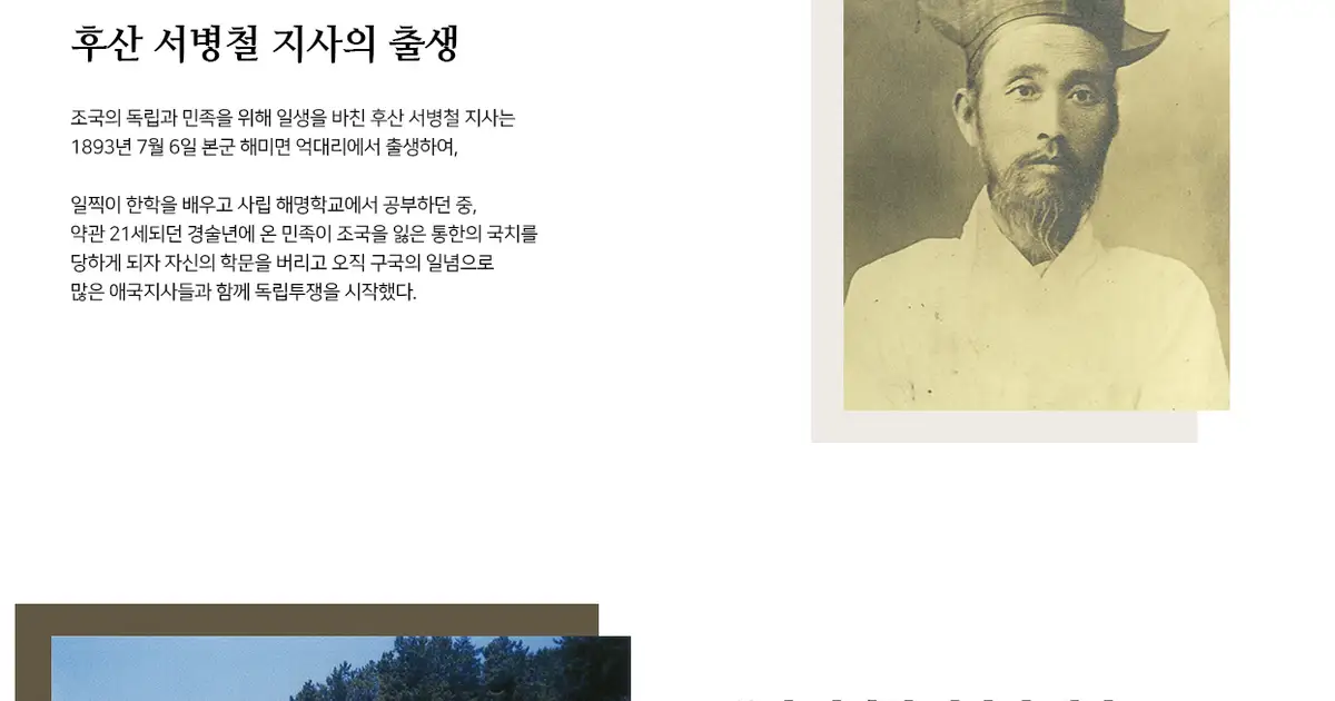홈페이지 변경 오픈 나오빌리 숨고 숨은고수