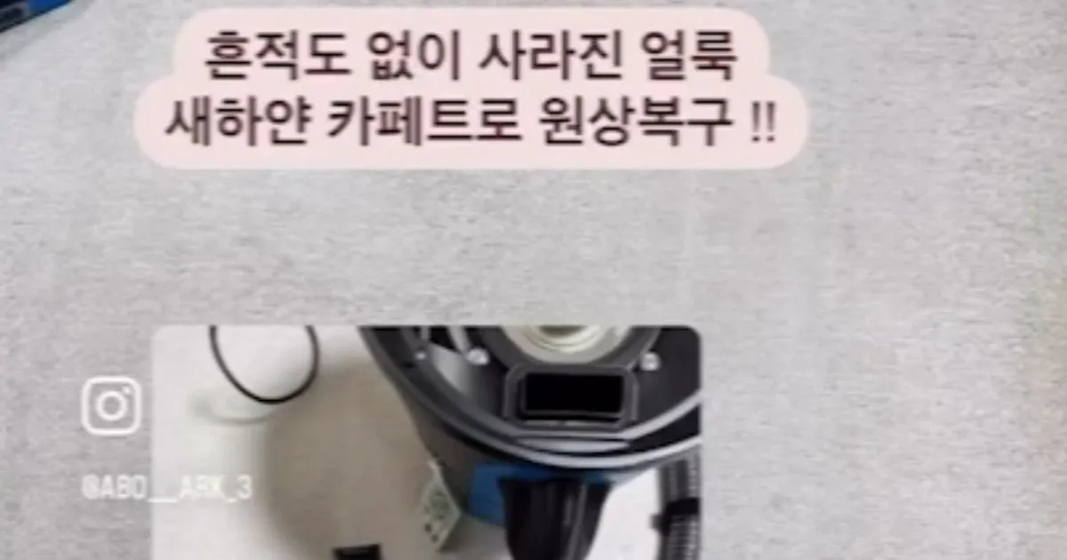 카펫에 커피쏟아생긴 얼룩 비치움 클린파파 숨고 숨은고수