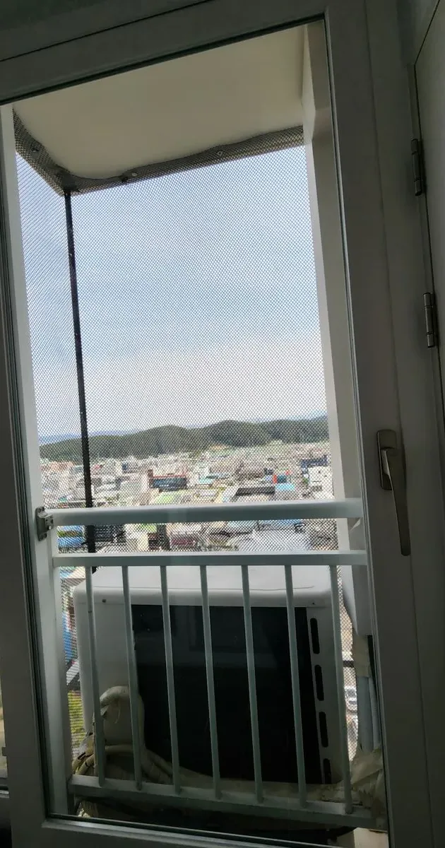 비둘기 배설물 청소 후 완벽 퇴치 차단망 설치 삼성 숨고 숨은고수