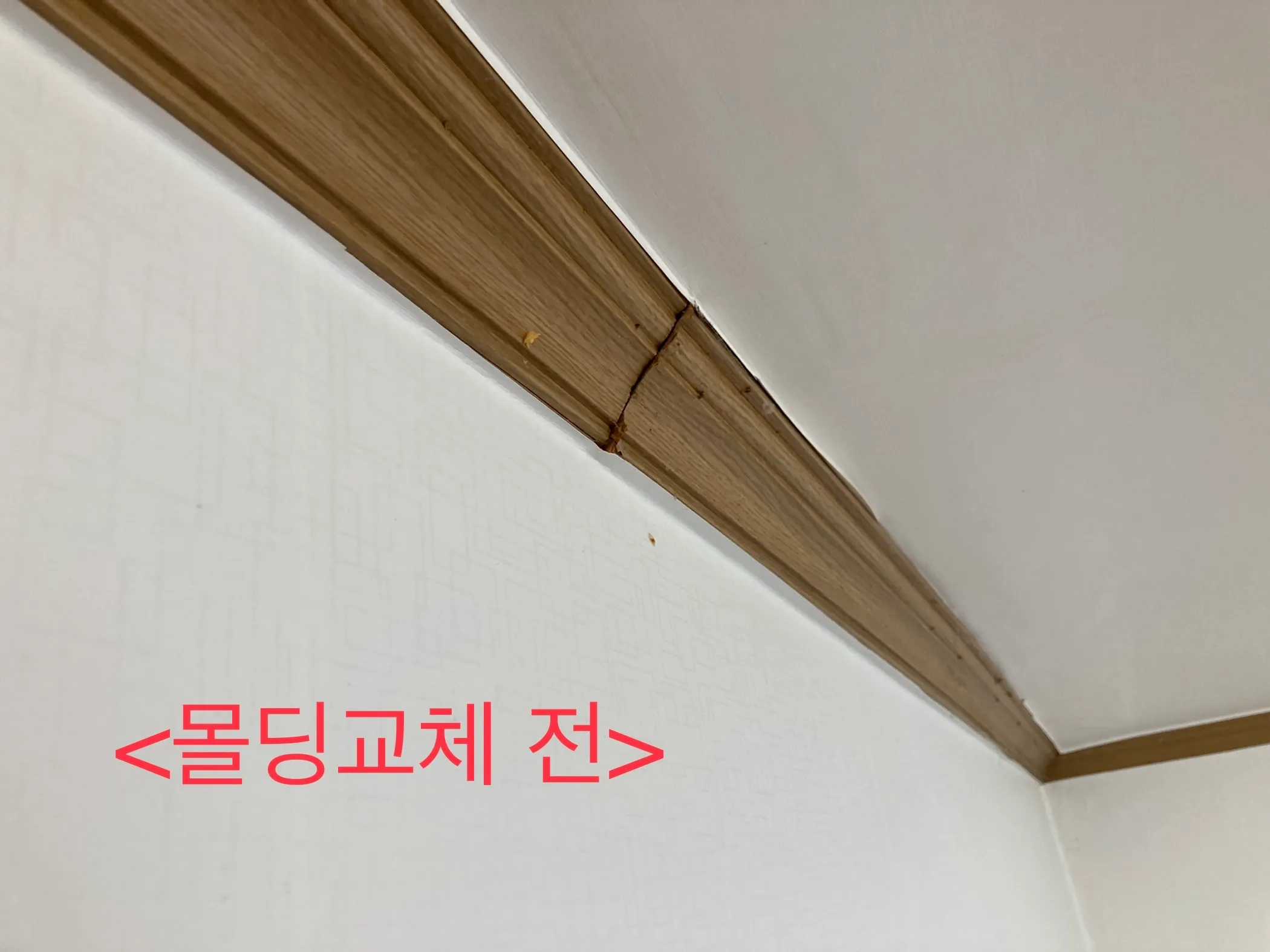 논현동 천정몰딩 걸레받이 교체 작업 구주enc 숨고 숨은고수