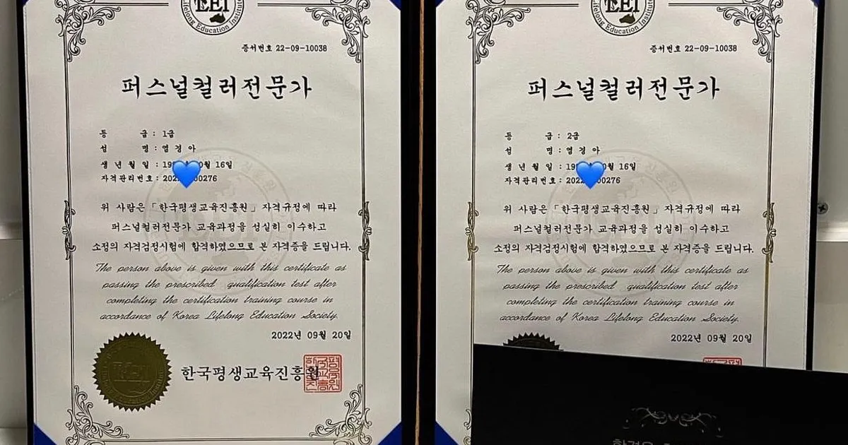 페이스차트 퍼스널컬러 염경아 숨고 숨은고수