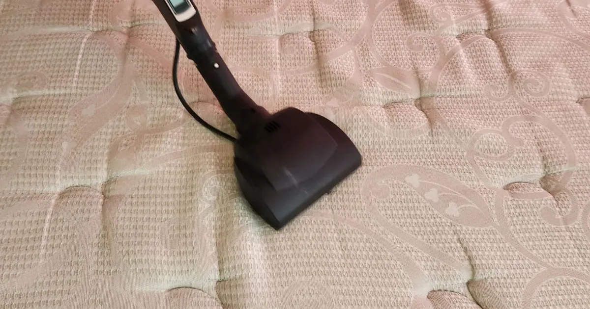 집먼지 진드기와 같이 살아야 하는 현실 한스홈케어 숨고 숨은고수