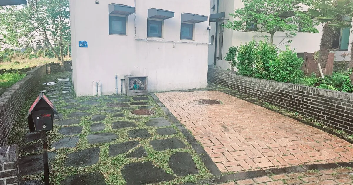 해안동 타운하우스 제주착한예초벌초 숨고 숨은고수