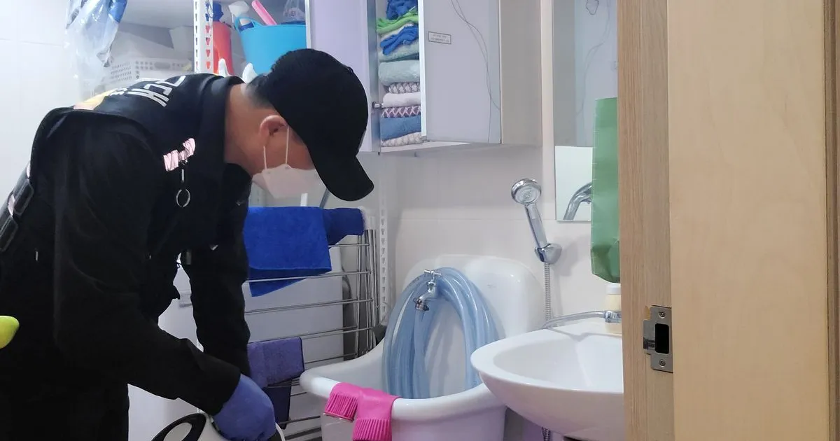 해충방역서비스 방역지구대 대표 차기현 숨고 숨은고수