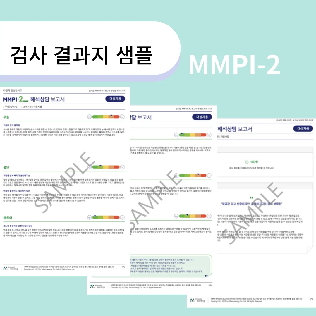 MMPI-2 심리검사 / 김민섭 - 숨고, 숨은고수