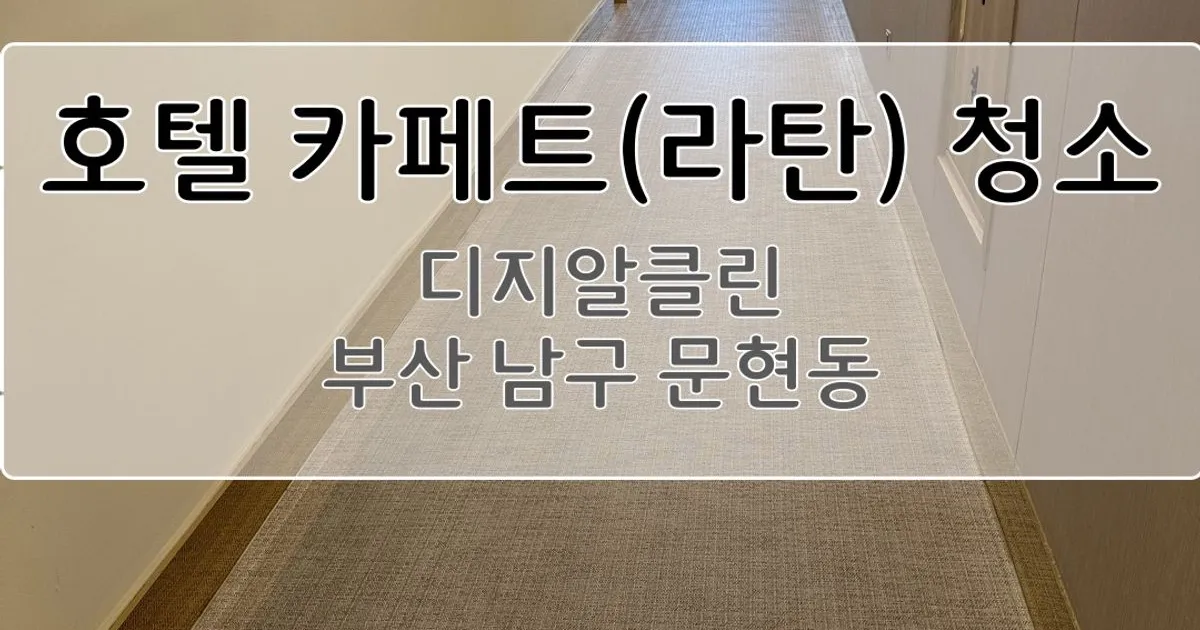 부산 남구 문현동 호텔 카페트 청소 부산경남 찐” 종합청소 디지알클린 숨고 숨은고수