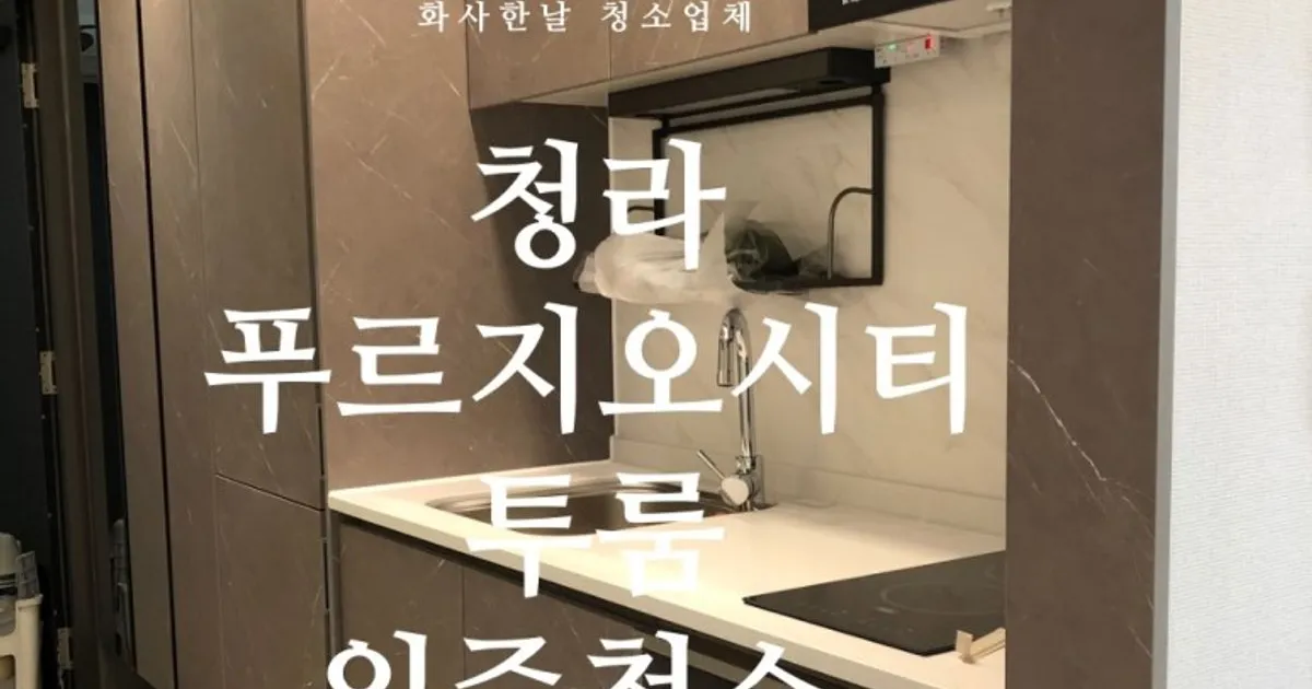 신축입주청소 화사한날⭐49 믿음⭕정직⭕하청 외국인 숨고 숨은고수