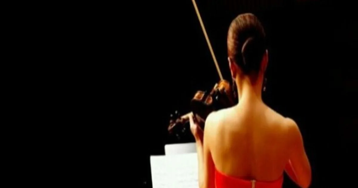 소피아 쌤 바이올린 클래스 🎻 소피아쌤 숨고 숨은고수
