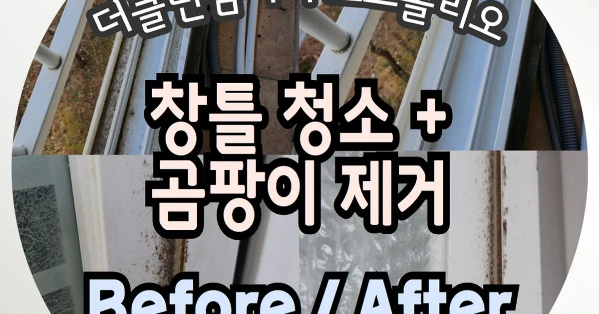 창틀 곰팡이제거 더클린컴퍼니 전국1등 입주청소각종청소 전문 숨고 숨은고수