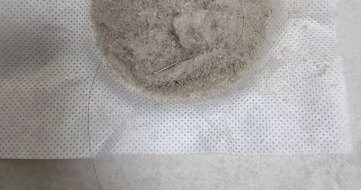 계룡시 매트리스케어 비치움 프로홈케어 숨고 숨은고수