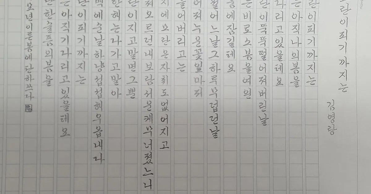 글씨교정악필교정 고시체 예쁜글씨 초단기 손글씨 숨은고수 김쌤 숨고 숨은고수