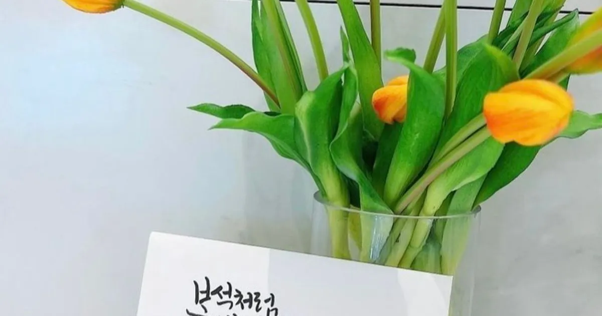 혼주 헤어 메이크업 서비스 김리라 숨고 숨은고수