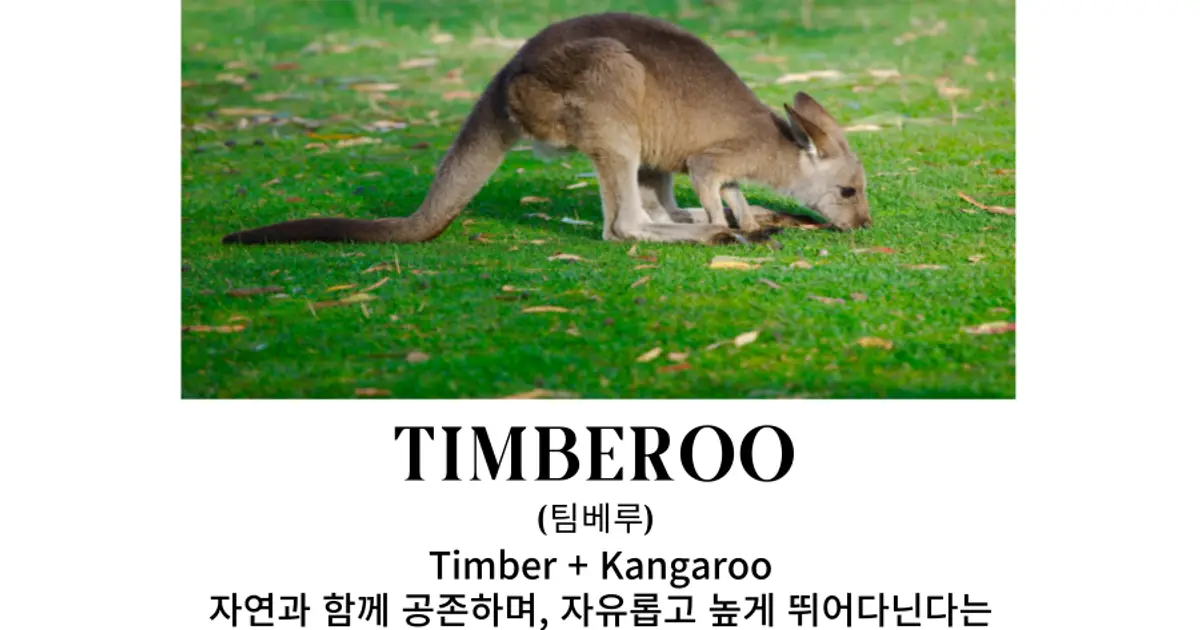 자연 친화적 브랜드 브랜도트 숨고 숨은고수