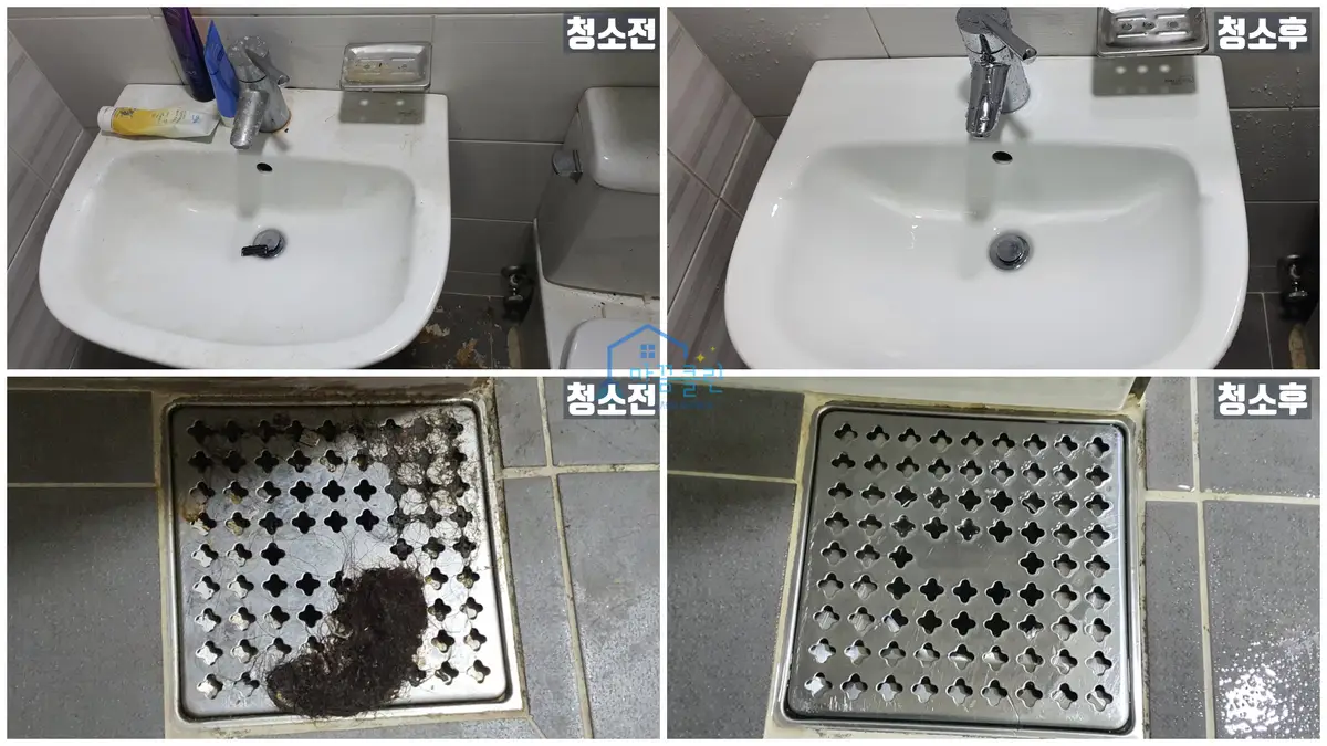 대구대학교 원룸 쓰레기집 청소특수청소 말끔클린 숨고 숨은고수