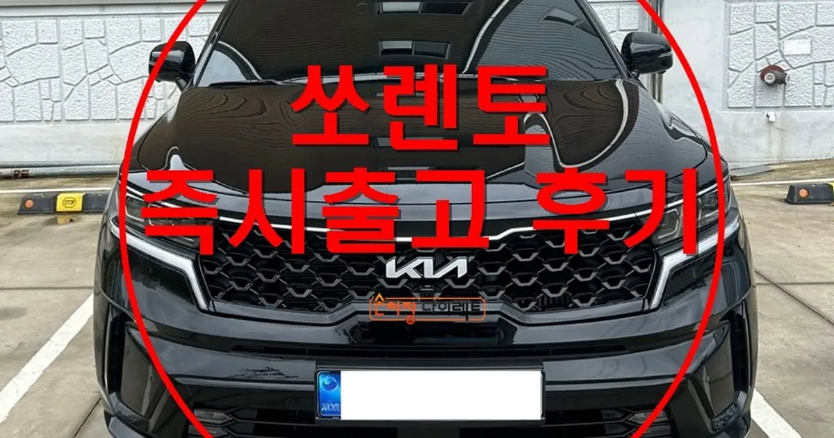 출고후기 신차장기렌트카 숨고 숨은고수