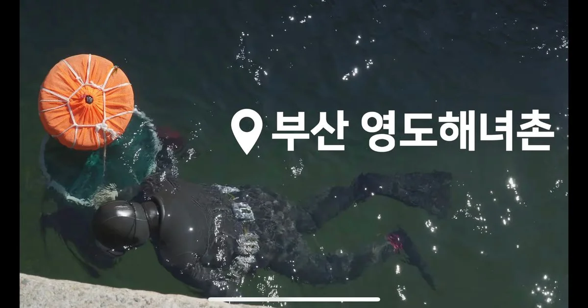기업 서비스 소개 및 브이로그 영상 김홍범 숨고 숨은고수