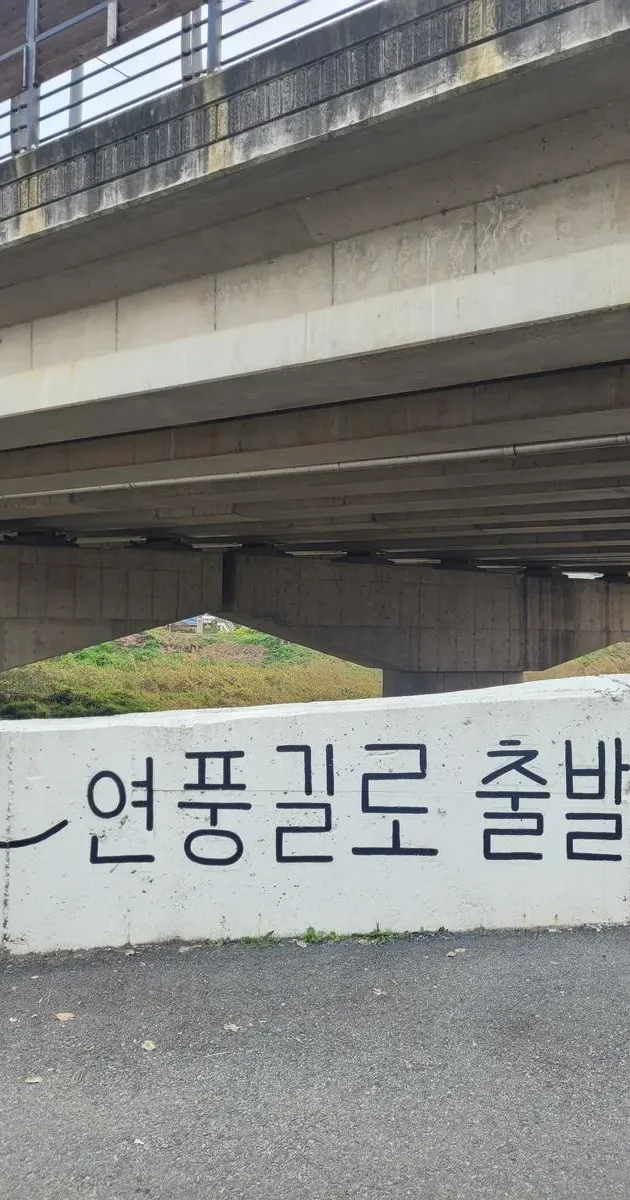 파주 연풍길 조성뚝방길 에버스튜디오 경기점 숨고 숨은고수