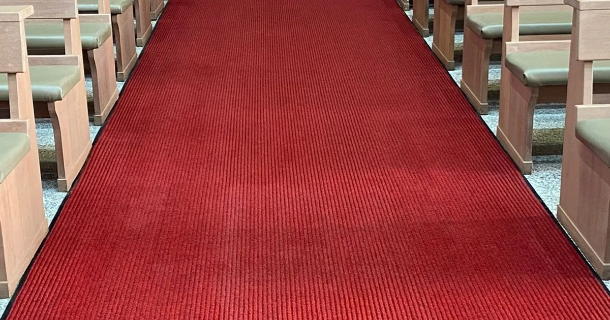 광주 카페트청소 태전동 광남동성당 새것처럼만들기 편안드림 하남지점 숨고 숨은고수