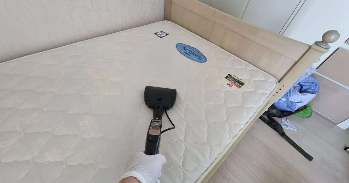 싱글 매트리스 습식케어 화이트케어 숨고 숨은고수