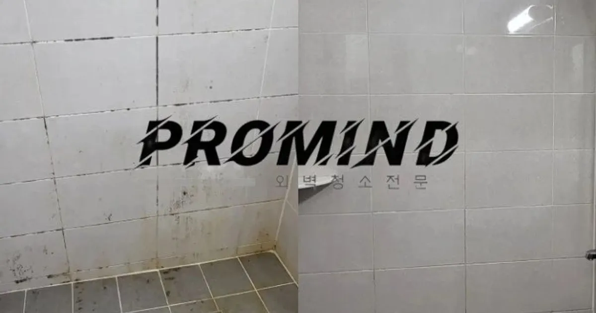곰팡이 전쟁 그만 전문가와 상담하세요 청소전문업체 프로마인드 숨고 숨은고수