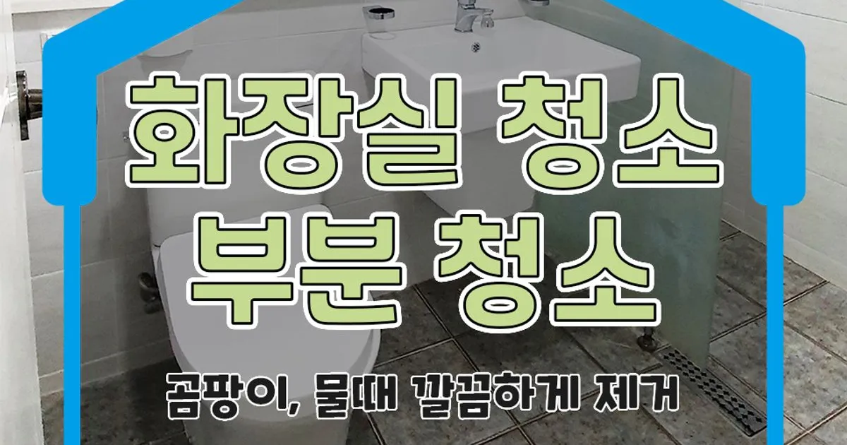 화장실청소 부분청소 화장실 물때 곰팡이 완벽제거 서진수 숨고 숨은고수