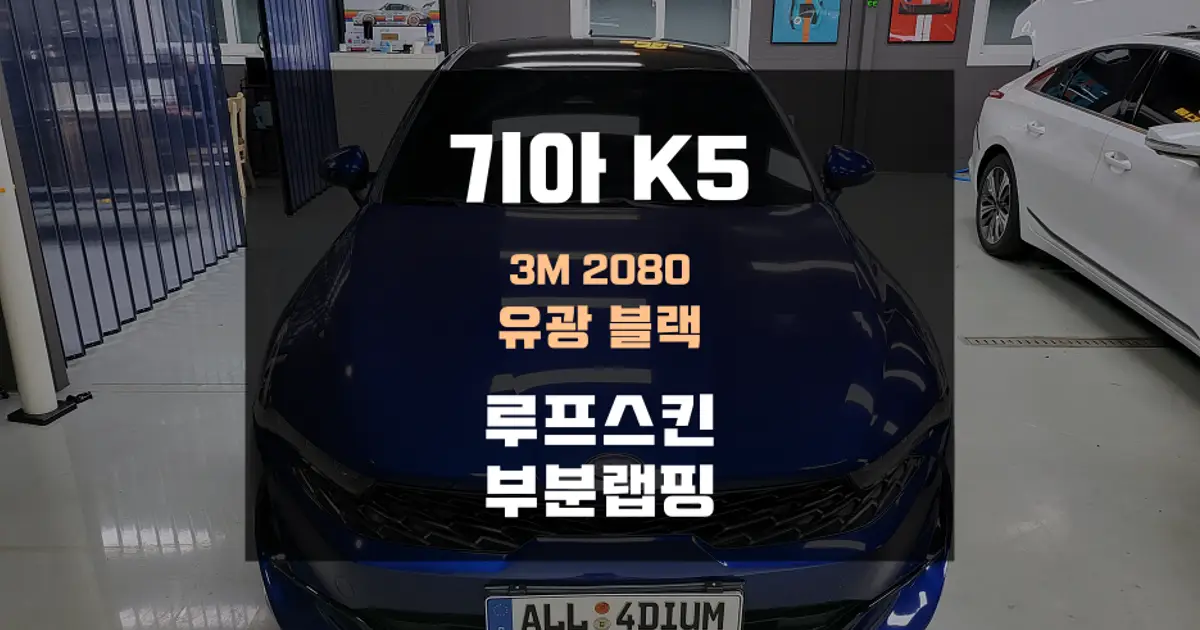 기아 K5 내 차를 더 스포티하게 보이기 위한 루프스킨 올포디움 랩핑 Ppf 숨고 숨은고수