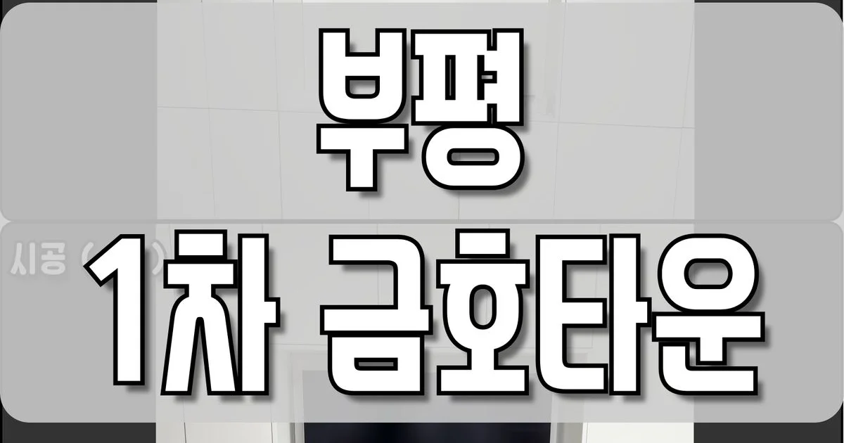 부평 1차 금호타운 티비네트 숨고 숨은고수
