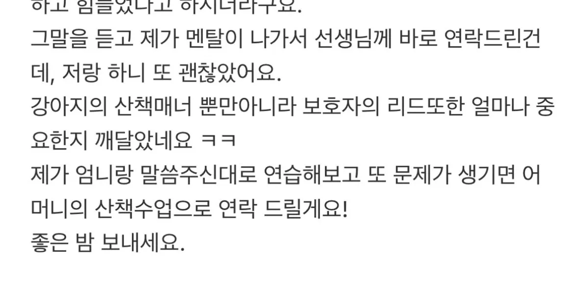 반려견 산책교육짖음 달려듬 후기 🙌 유정호 숨고 숨은고수