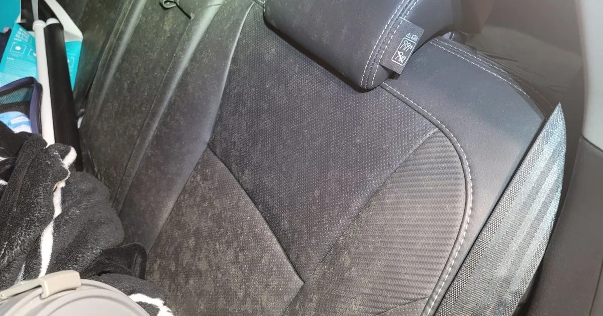 장기방치 티볼리 곰팡이제거 디테일링가이 실내크리닝·광택·보험처리 전문업체 숨고 숨은고수