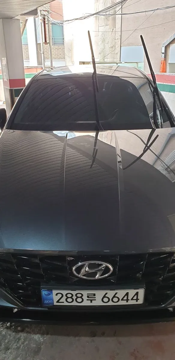 인테리어 대표님 차량 장마케어 내부유막발수도 역시트로피car 숨고 숨은고수