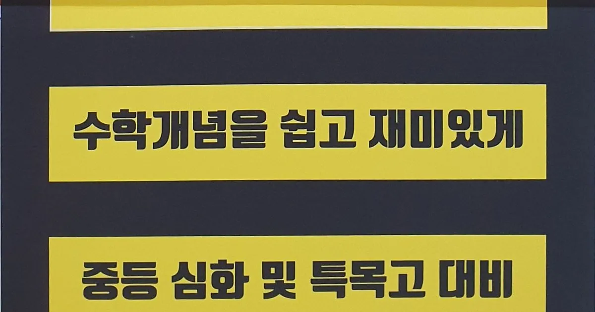 독학재수생 개별맞춤과외 특강 Maxsam 숨고 숨은고수