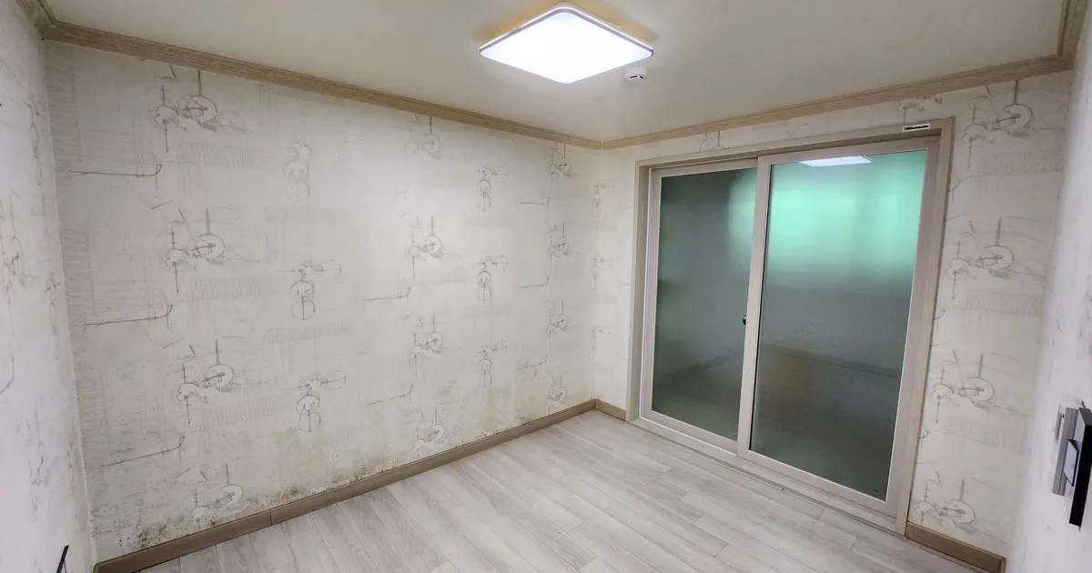 경산 빌라 광폭합지시공 아빠도배 숨고 숨은고수