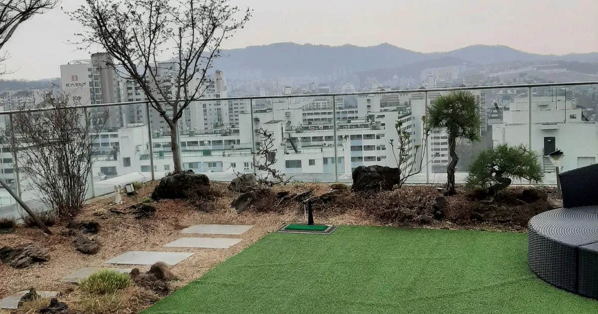 옥상정원 유지관리 초록가든 숨고 숨은고수