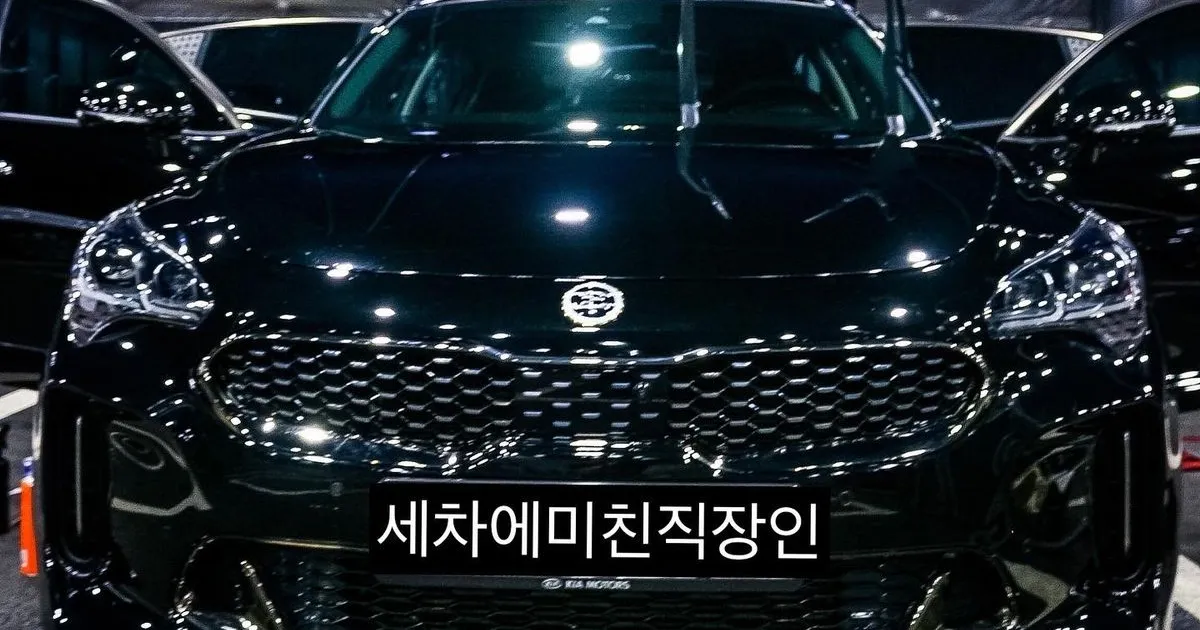 기아 21세기 최초의 스포티 세단 스팅어 세차에미친직장인semidetail 숨고 숨은고수