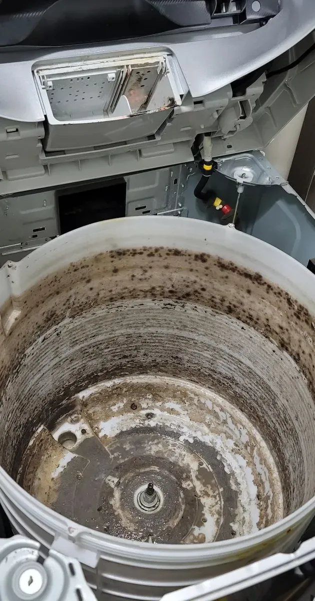 통돌이 세탁기 청소 크린택 숨고 숨은고수