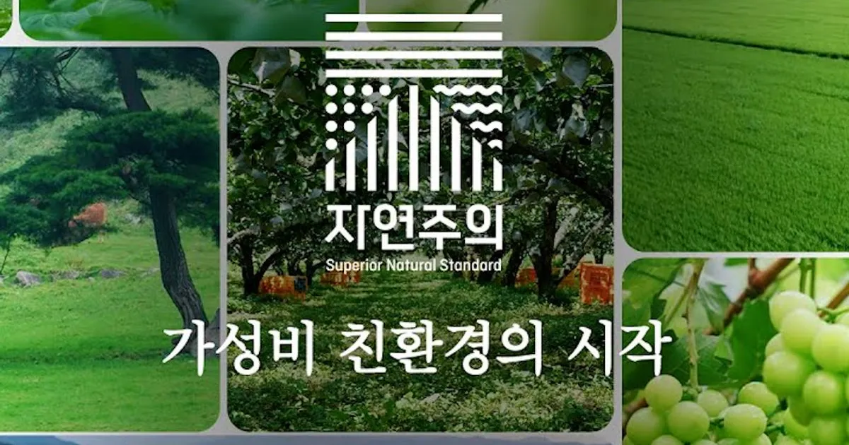 이마트에브리데이 자연주의 론칭 홍보영상 제작 정성민 숨고 숨은고수