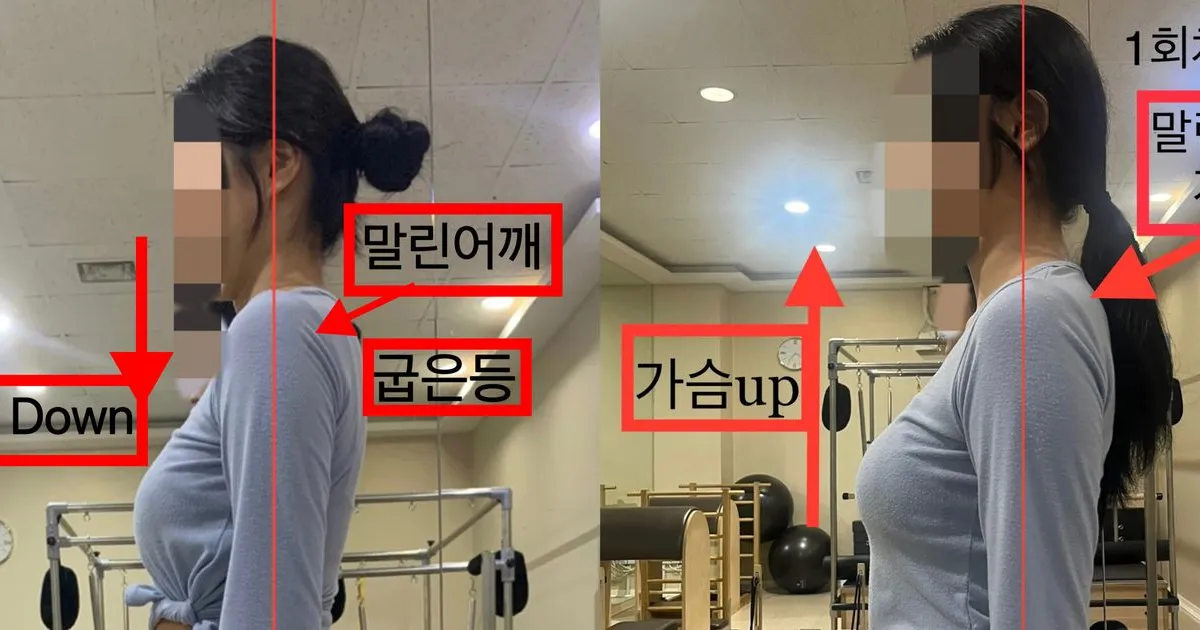 1회차 수업만으로 체형교정 방법 박세빈 숨고 숨은고수