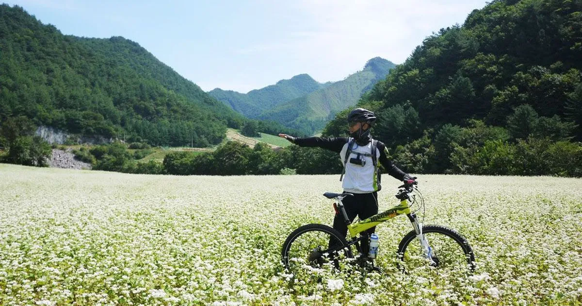 로드 Mtb 레슨 및 15년 동호회 대표 레옹 숨고 숨은고수