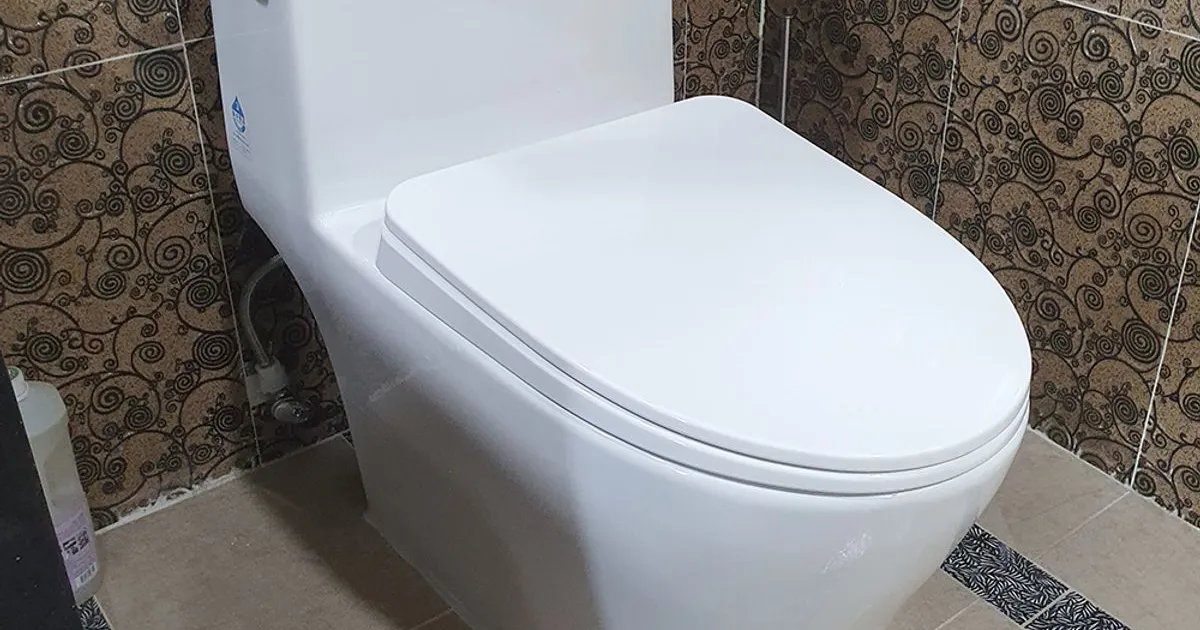 대림바스 원피스 하이탱크 CC-280교체시공 / 대림 바스앤디자인 - 숨고, 숨은고수