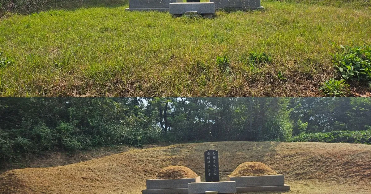 경기도 고양시 현천동 봉분3기 작업 조수범 숨고 숨은고수