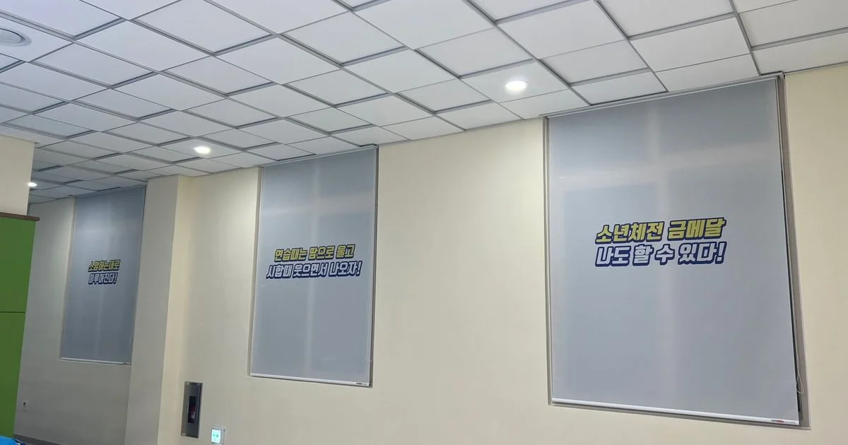 학교체육관 데코라인 숨고 숨은고수