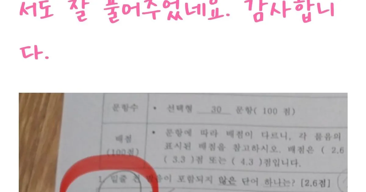 부산외고 예상적중 문제들 이수진 숨고 숨은고수