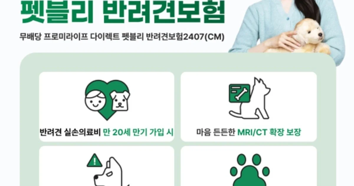 친절하게 상담 드리겠습니다 Db손해보험 숨고 숨은고수
