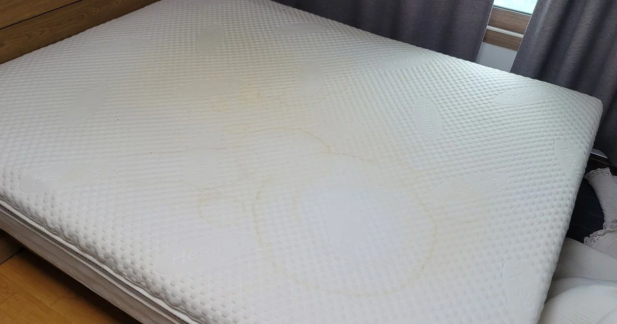 오래된 매트리스 얼룩 비치움 봉스홈케어 숨고 숨은고수