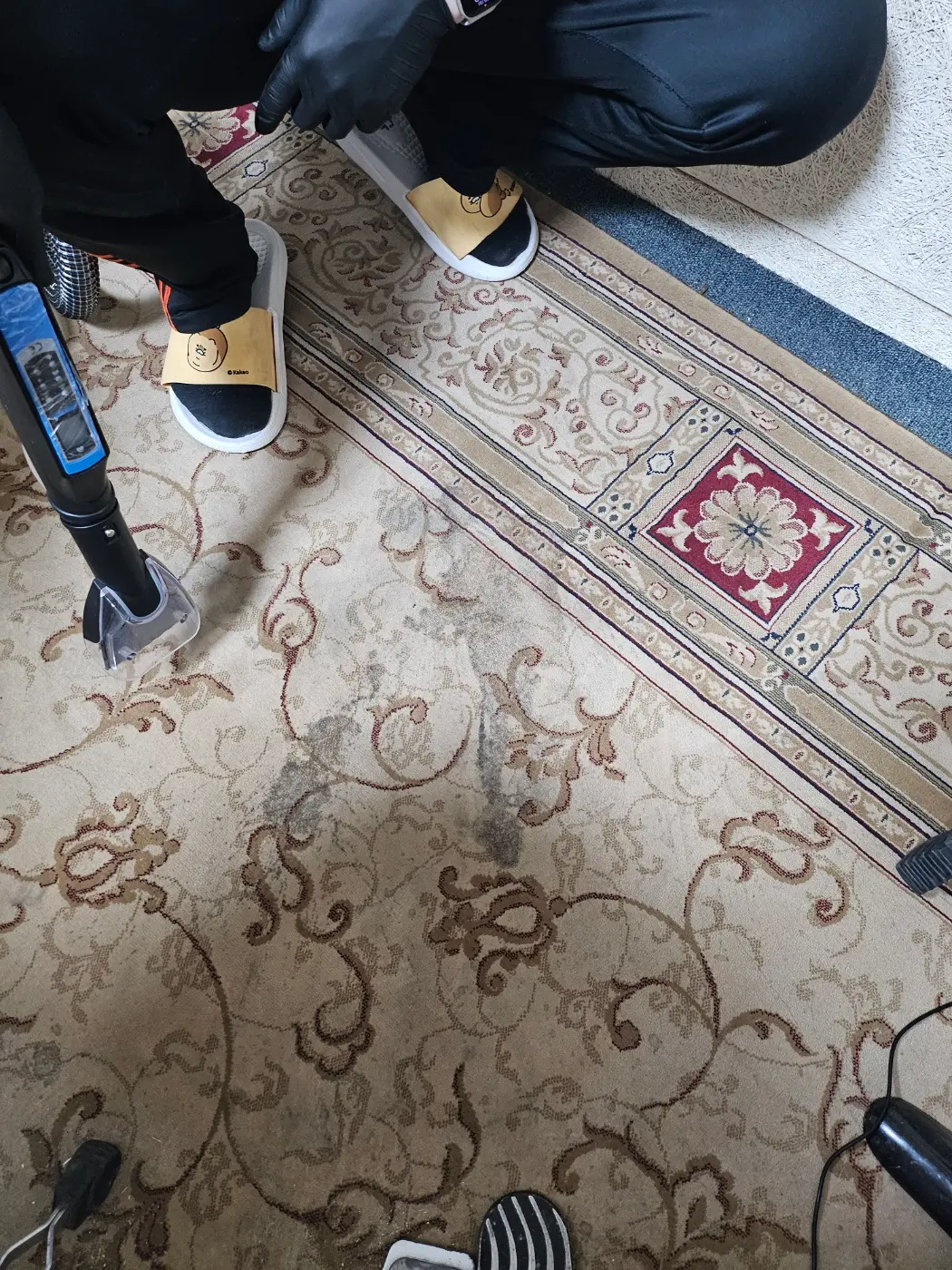 실용음악학원 드럼카페트 케어 모든이웃 비치움 홈케어 숨고 숨은고수