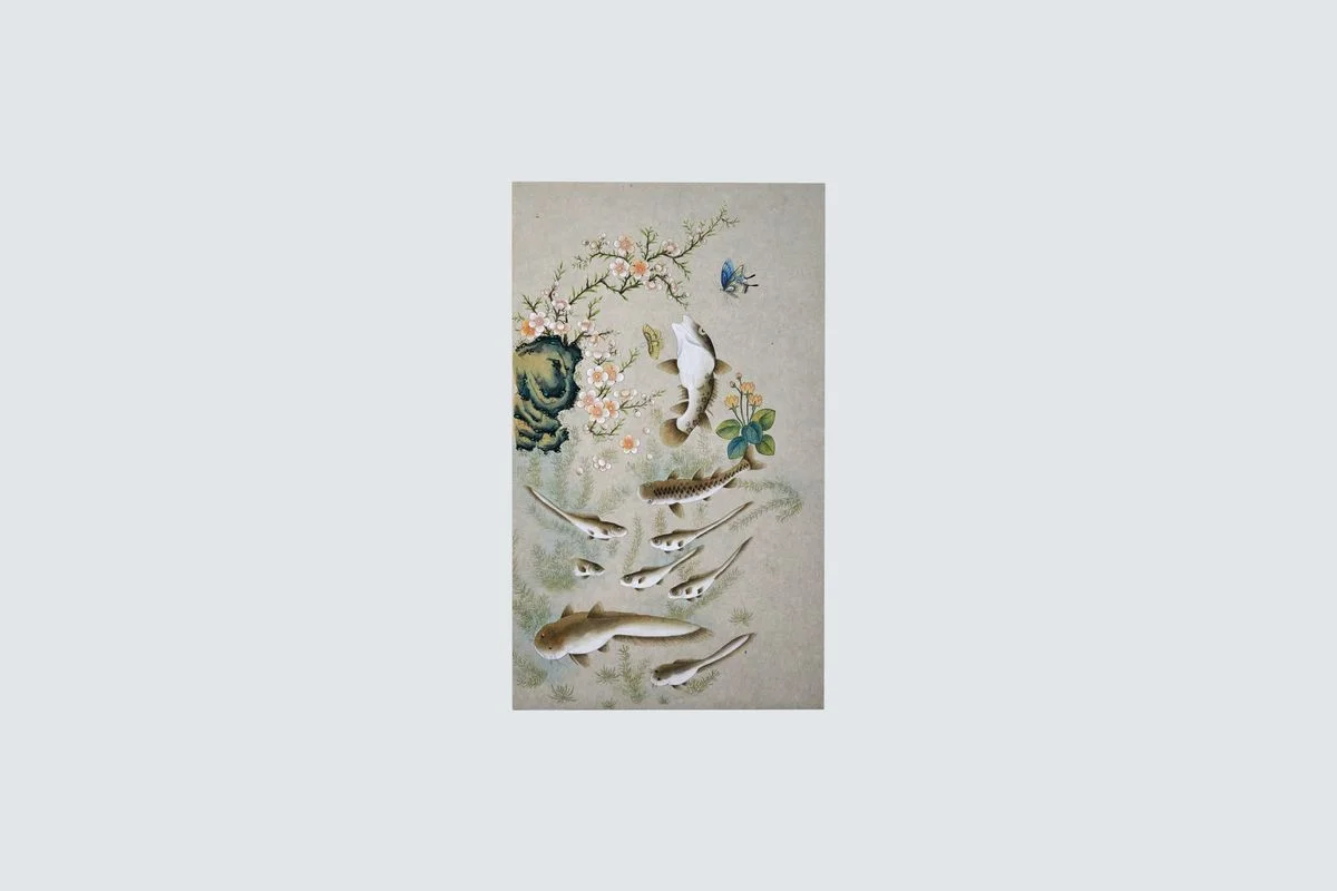 민화작가 시성 시성민화공방 숨고 숨은고수