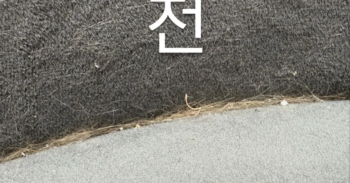 식탁용 의자2개 습식청소 봄내홈케어 숨고 숨은고수
