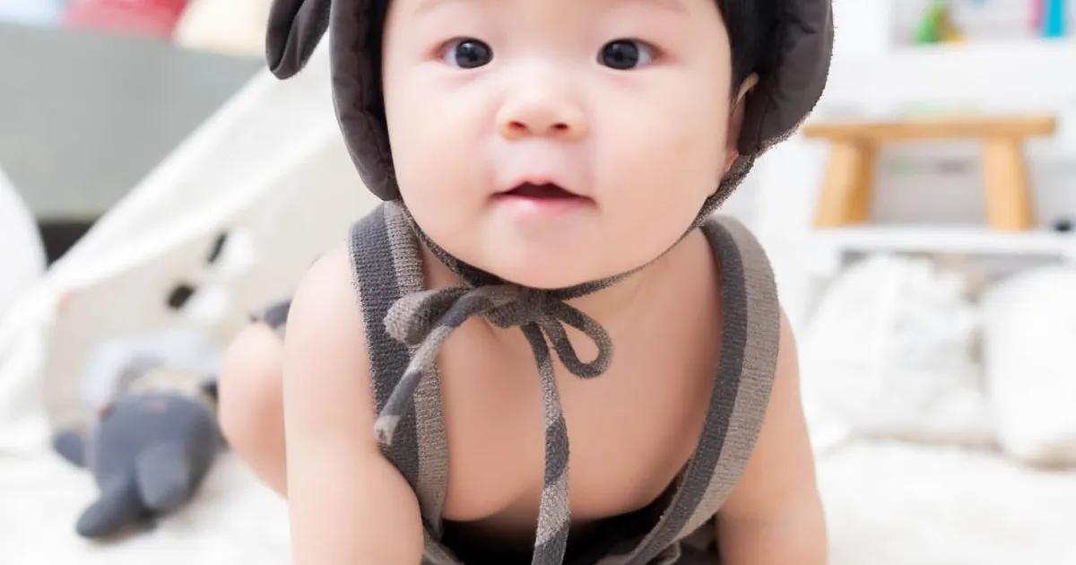 베이비 300일 촬영 김진웅 숨고 숨은고수