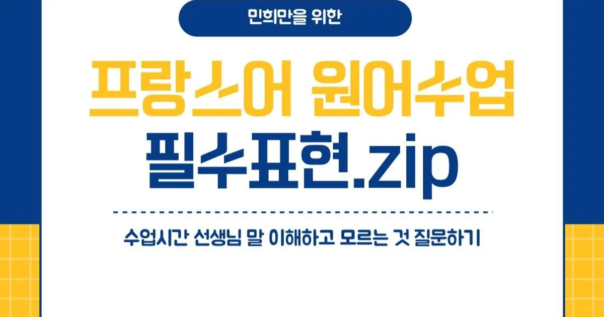 유학 및 교환학생 원어수업 대비 과외 규빈 숨고 숨은고수